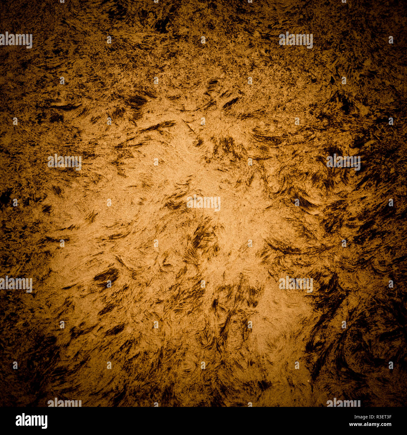 Wrinkled vellum texture hi-res stock photography and images - Alamy