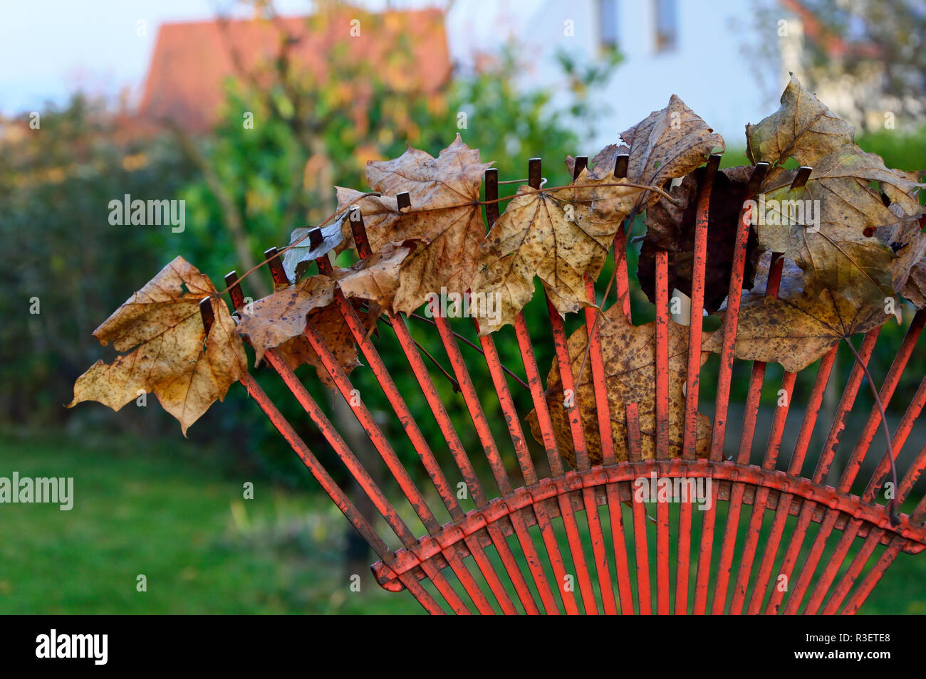 Sharpen garden tool hi-res stock photography and images - Alamy