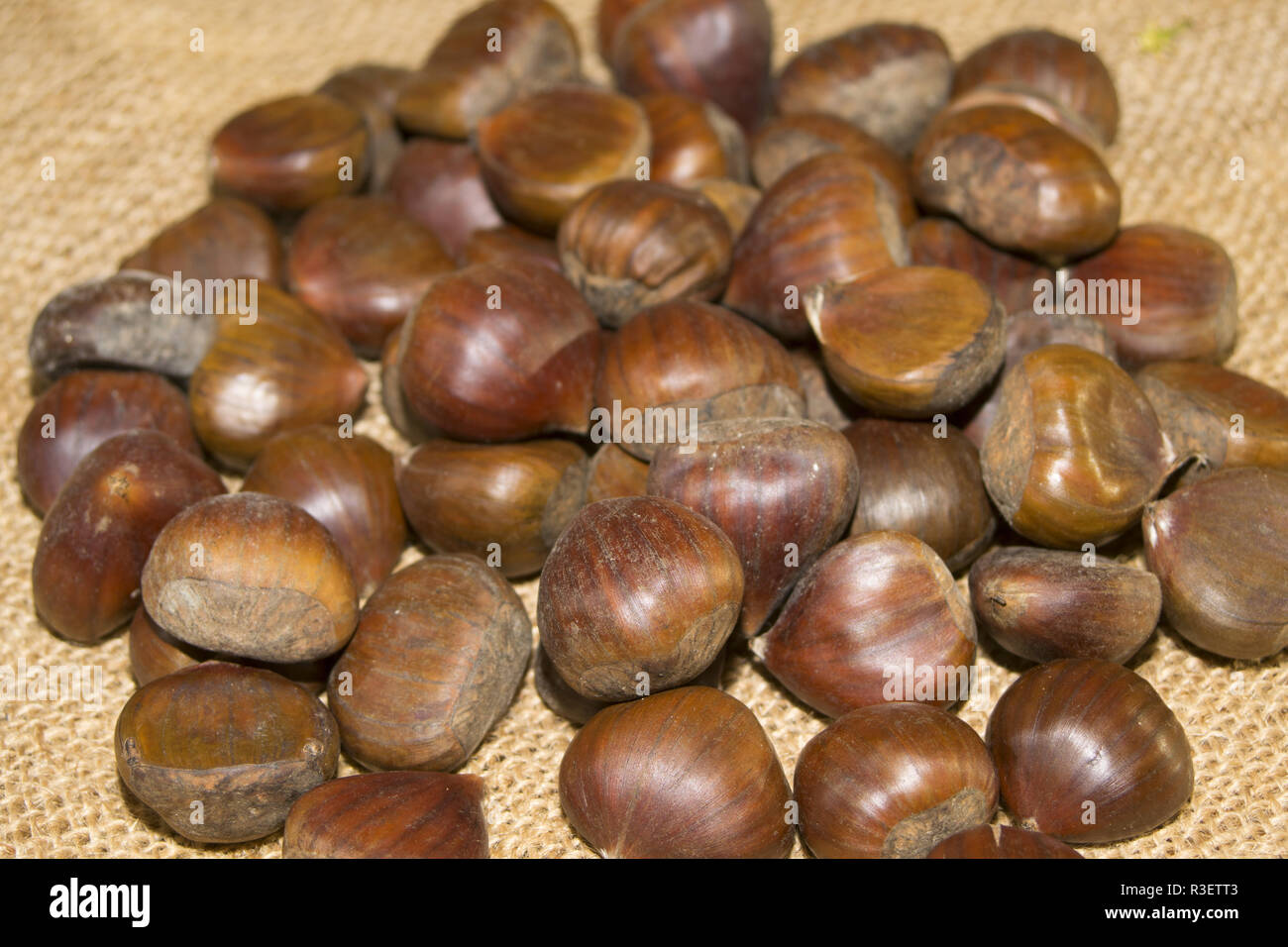 Seed dried pod husk hi-res stock photography and images - Alamy
