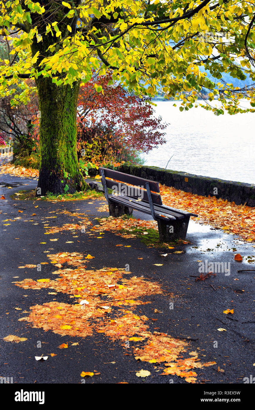 Pier at Geneva Lake in Montreux Vaud canton Switzerlandof in autumn ...