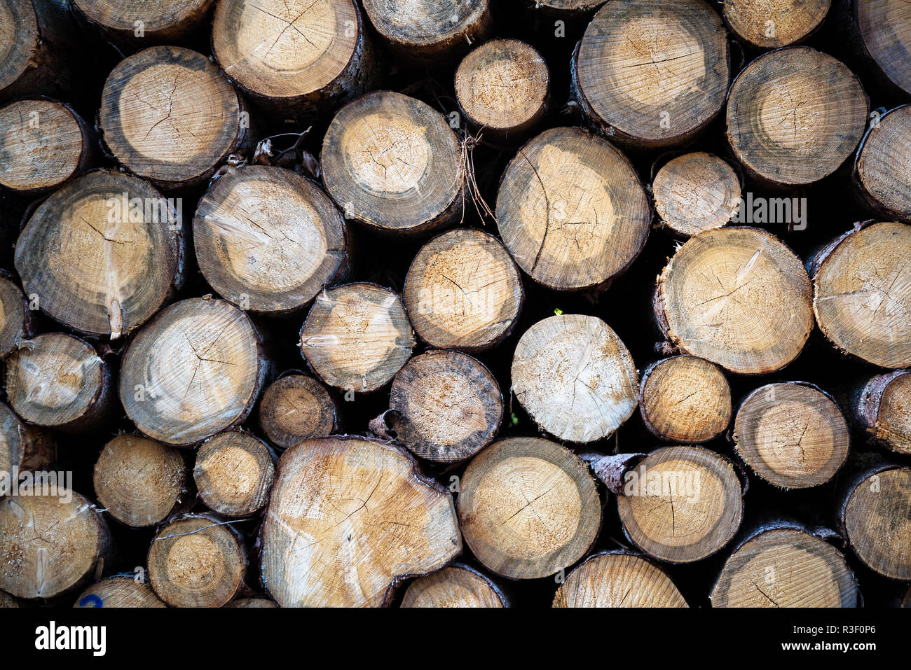 woodpile with logs of gray brown tree trunks, background texture Stock ...