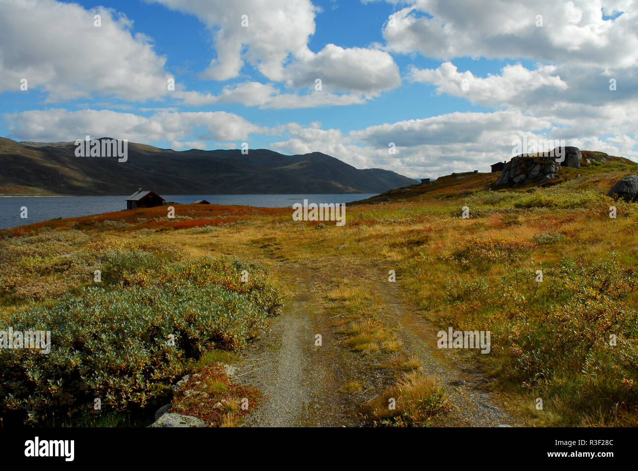 Filefjell hi-res stock photography and images - Alamy