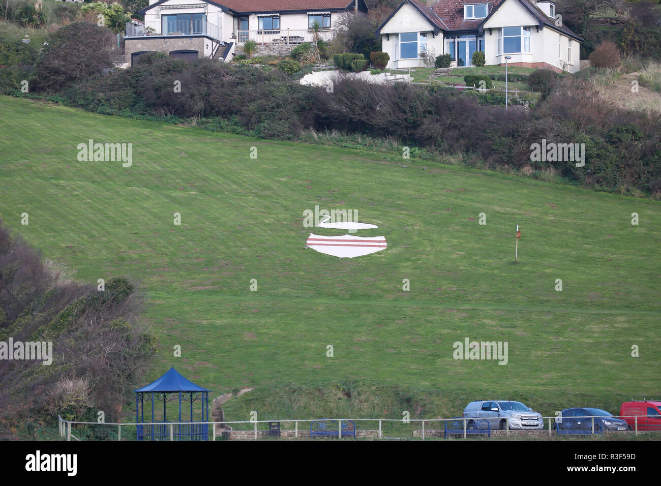 A swan emblem on the hillside in Combe Martin,Devon,UK Stock Photo - Alamy
