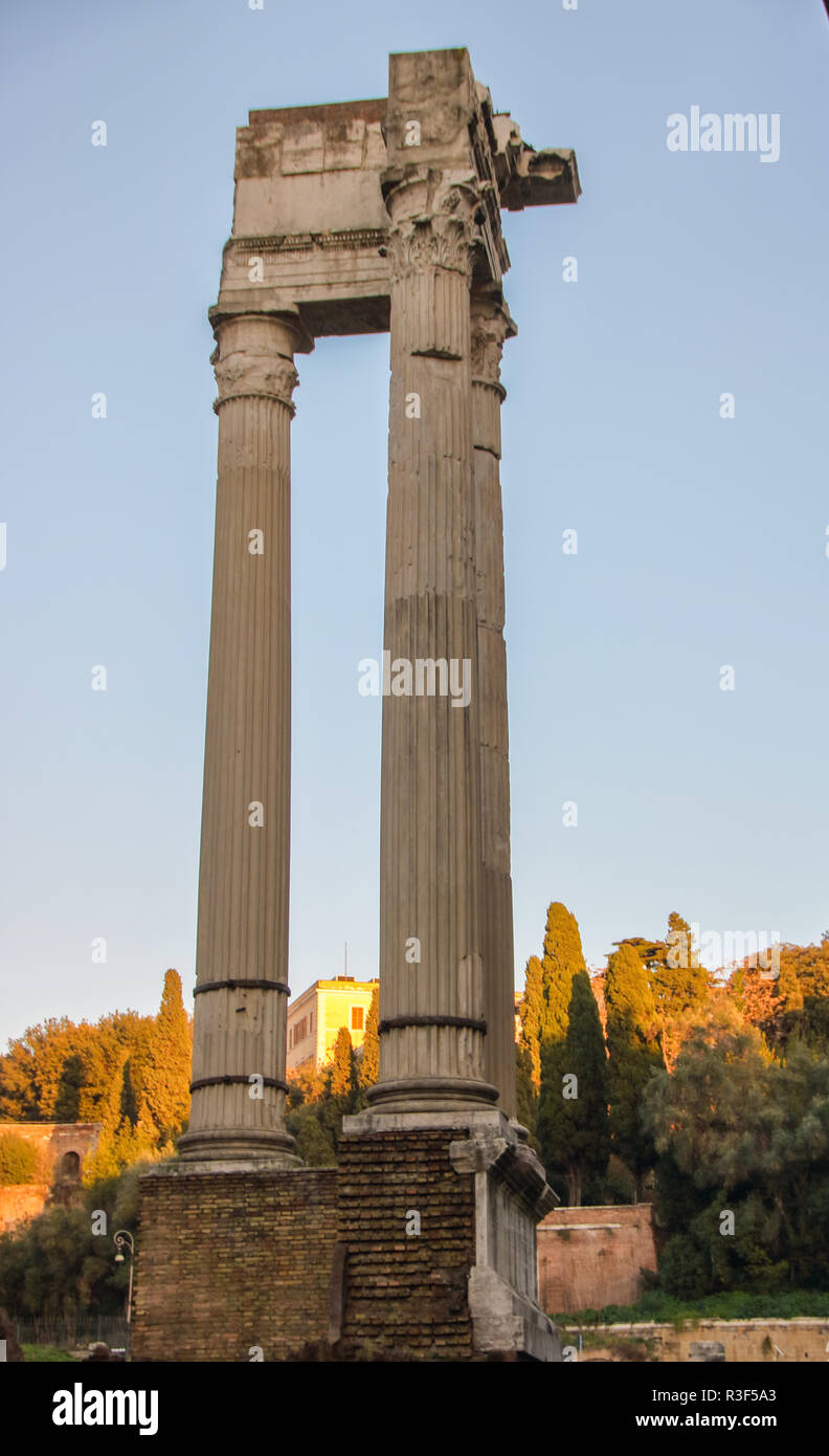 columns of the temple of Apollo in Rome, Italy Stock Photo - Alamy