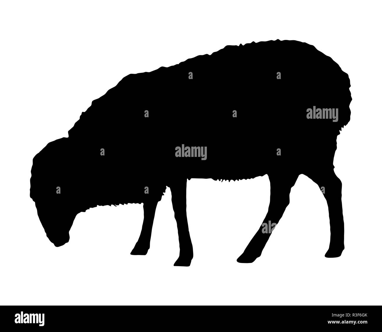 Sheep background Black and White Stock Photos & Images - Alamy
