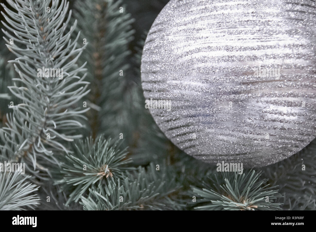 Tree years hi-res stock photography and images - Alamy