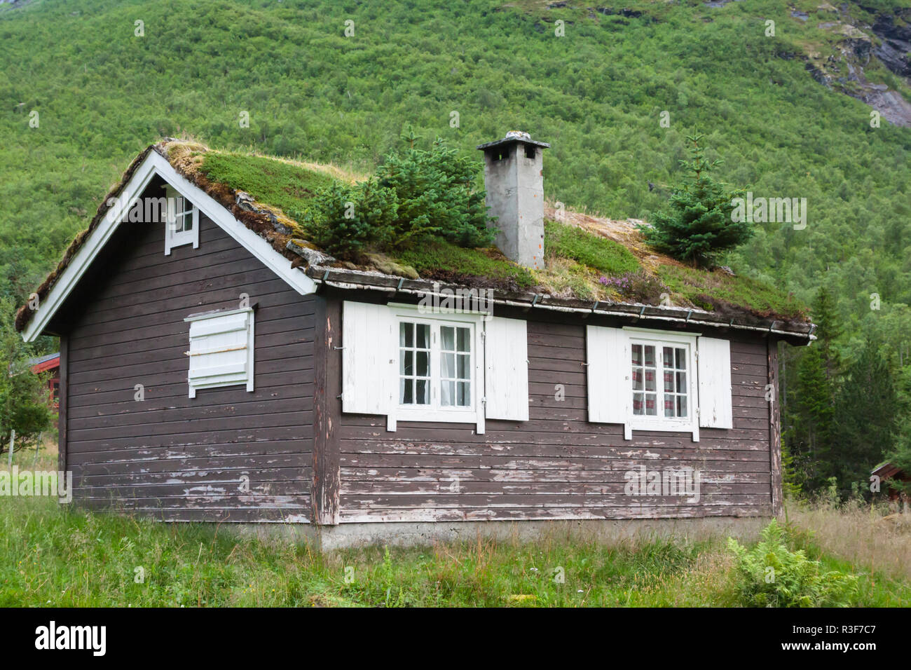 typical norwegian house with grass on the rooftop Stock Photo - Alamy