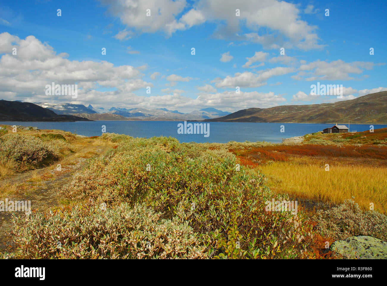 Filefjell hi-res stock photography and images - Alamy