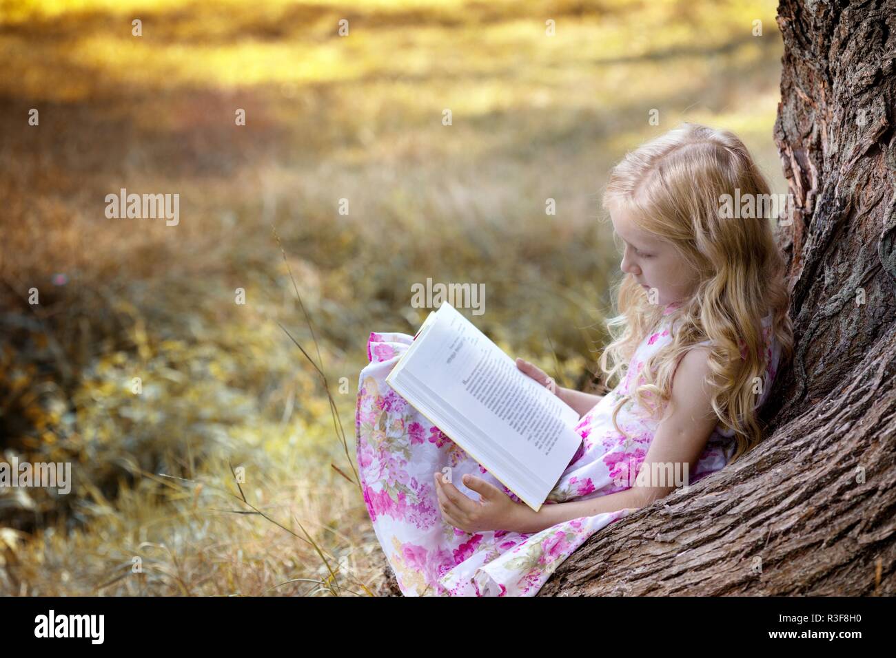 Girl reading a book sitting under a tree hi-res stock photography and ...