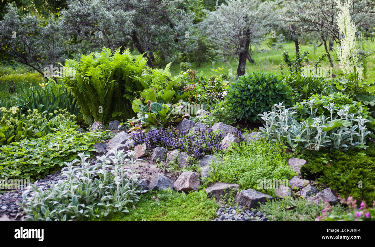 Ornamental grass rockery garden hi-res stock photography and images - Alamy