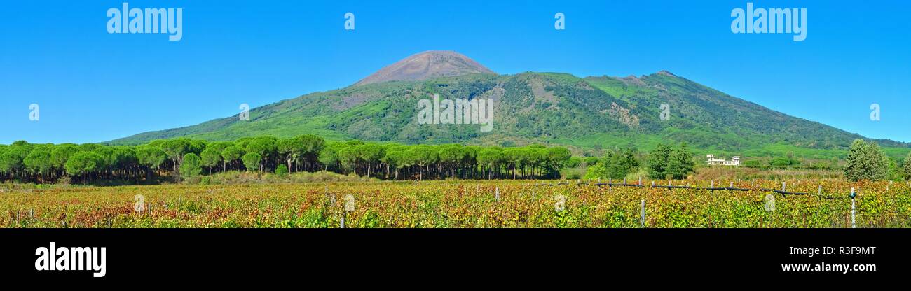 Vesuvius vulcan hi-res stock photography and images - Alamy