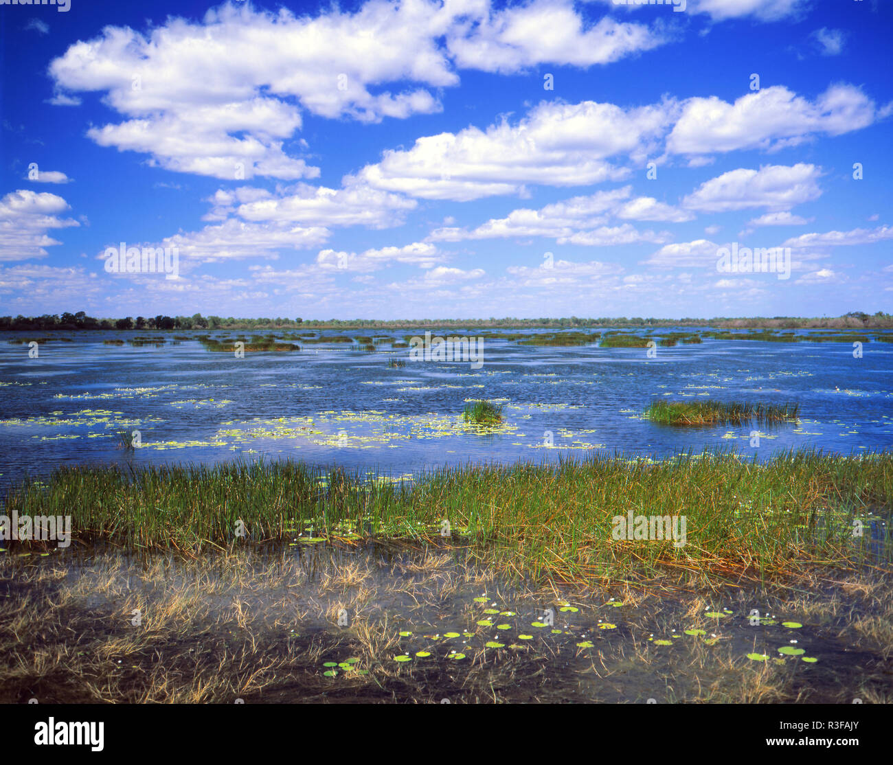 Fogg dam hi-res stock photography and images - Alamy