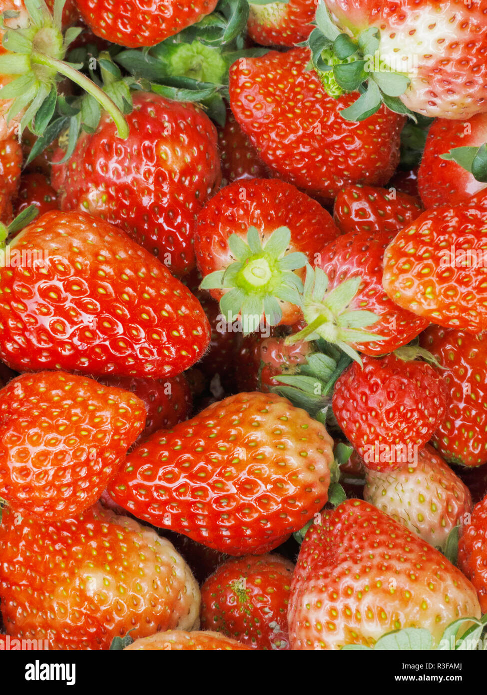 Strawberry - full frame Stock Photo - Alamy