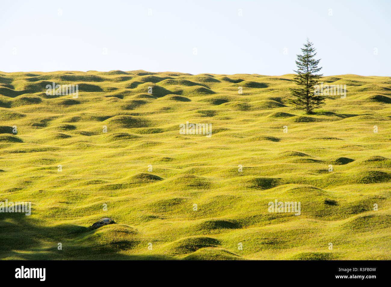 Hummocky hi-res stock photography and images - Alamy