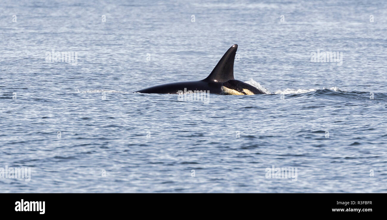 Wildlife reserve rest area hi-res stock photography and images - Alamy
