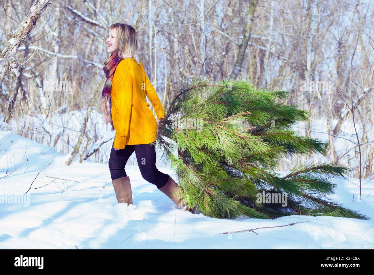 Christmas - girl in the forest carries a Christmas tree Stock Photo - Alamy