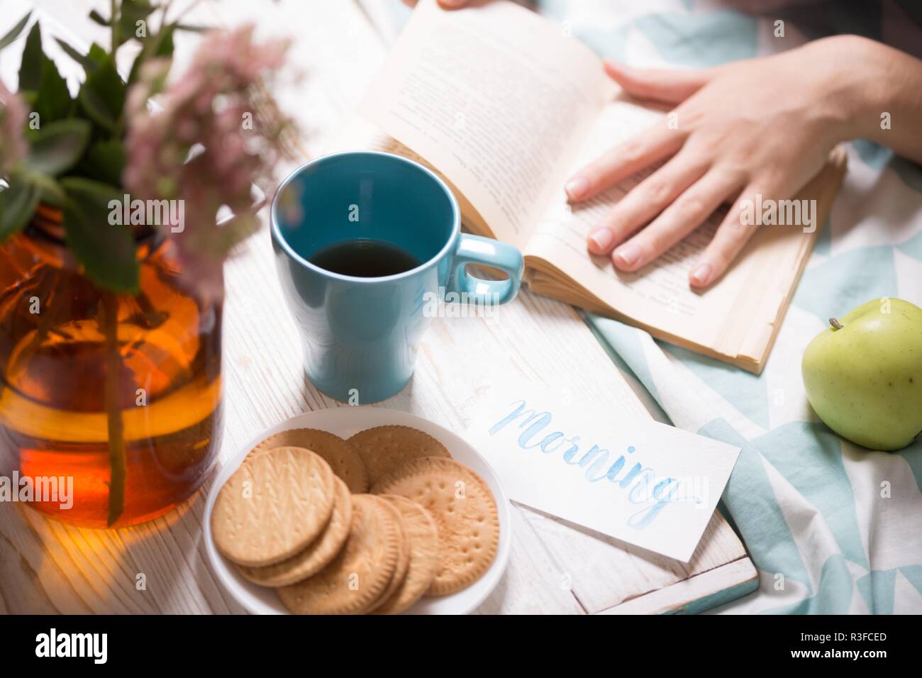 background - beautiful cozy morning and girl reading book Stock Photo ...
