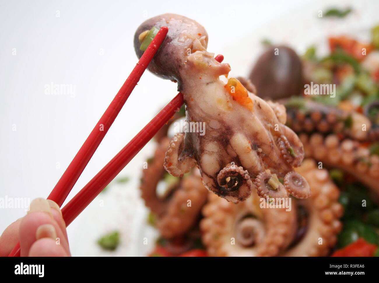 Saugna pfe hi-res stock photography and images - Alamy