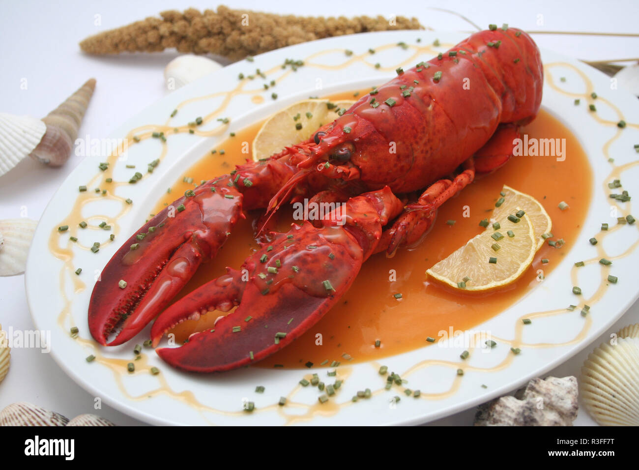 Lobster armour hi-res stock photography and images - Alamy