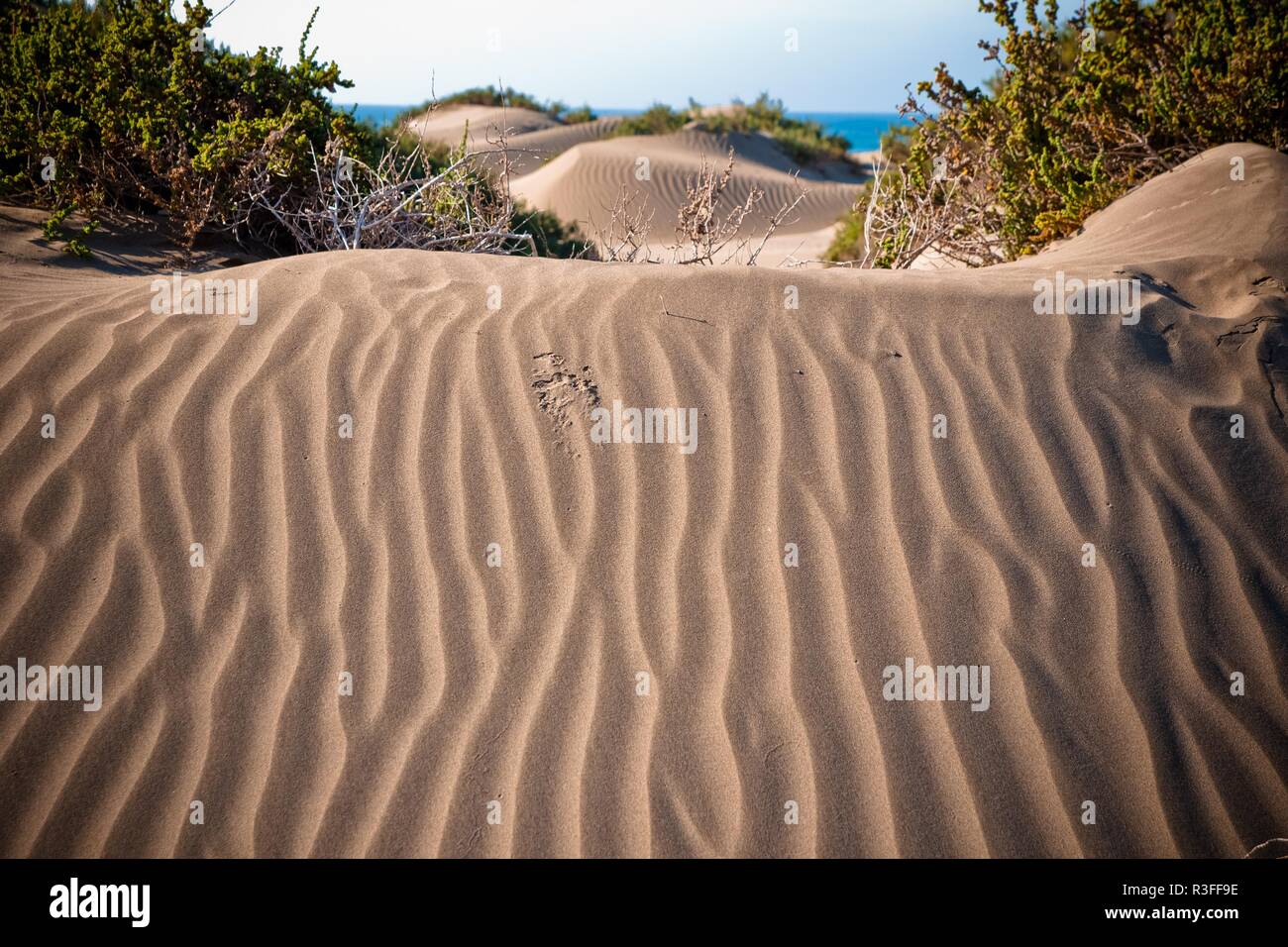 Desert dunes with waves Stock Photo - Alamy