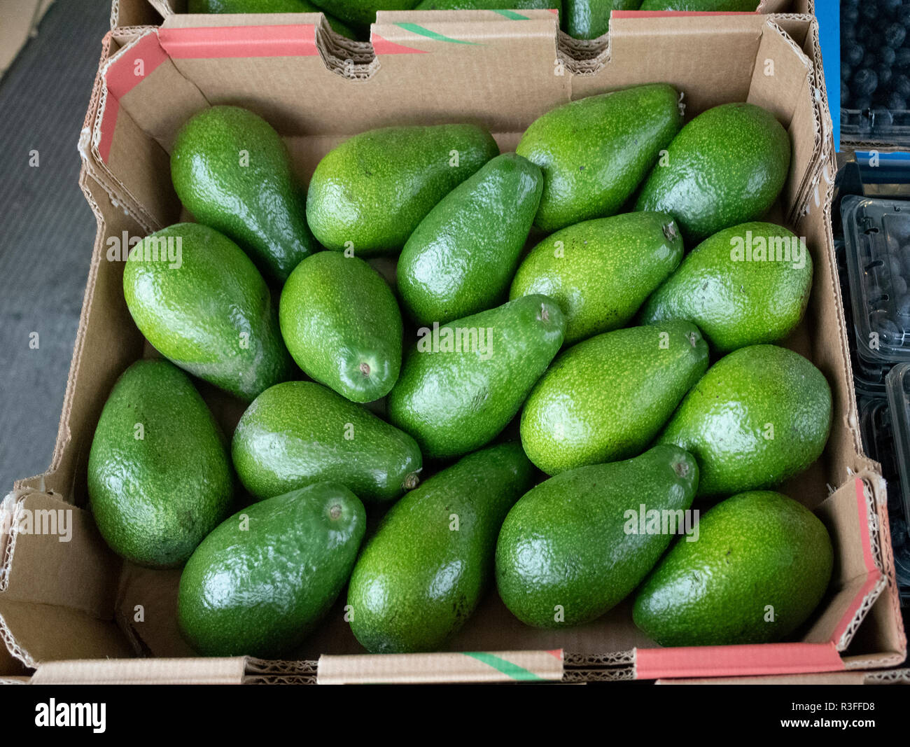Display of ripe Avocado pears arrange neatly in a box for sale outside ...