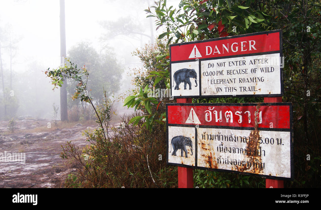 warning elephant danger / red sign set on walkway in the forest warning ...