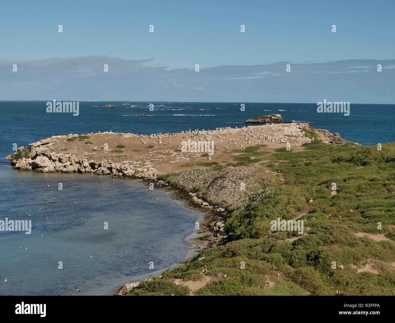 Protected and safe areas on Penguin Island, Western Australia, with a ...