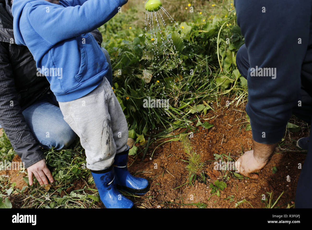 Children planting trees hi-res stock photography and images - Alamy