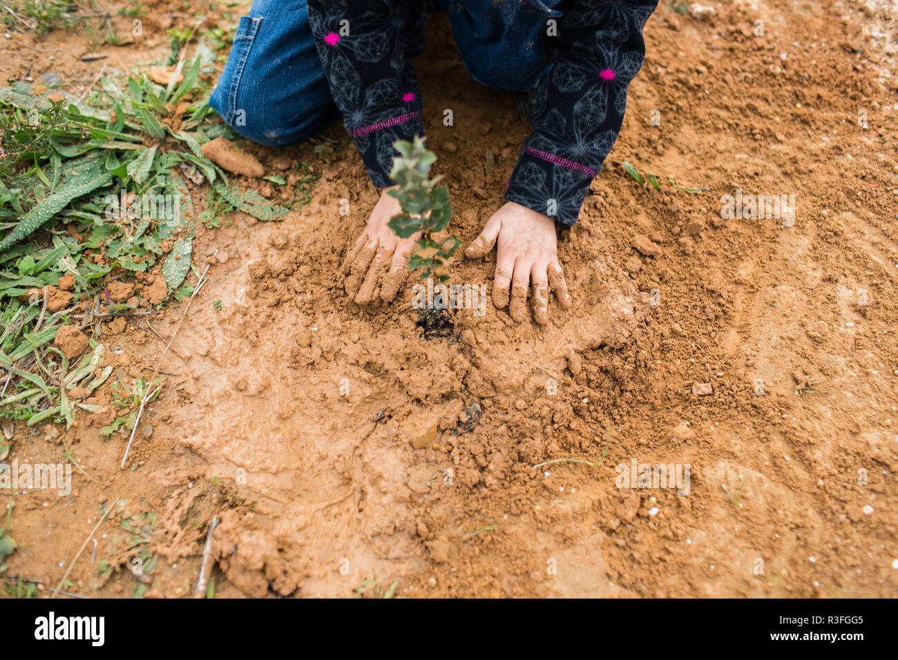 Children planting trees hi-res stock photography and images - Alamy