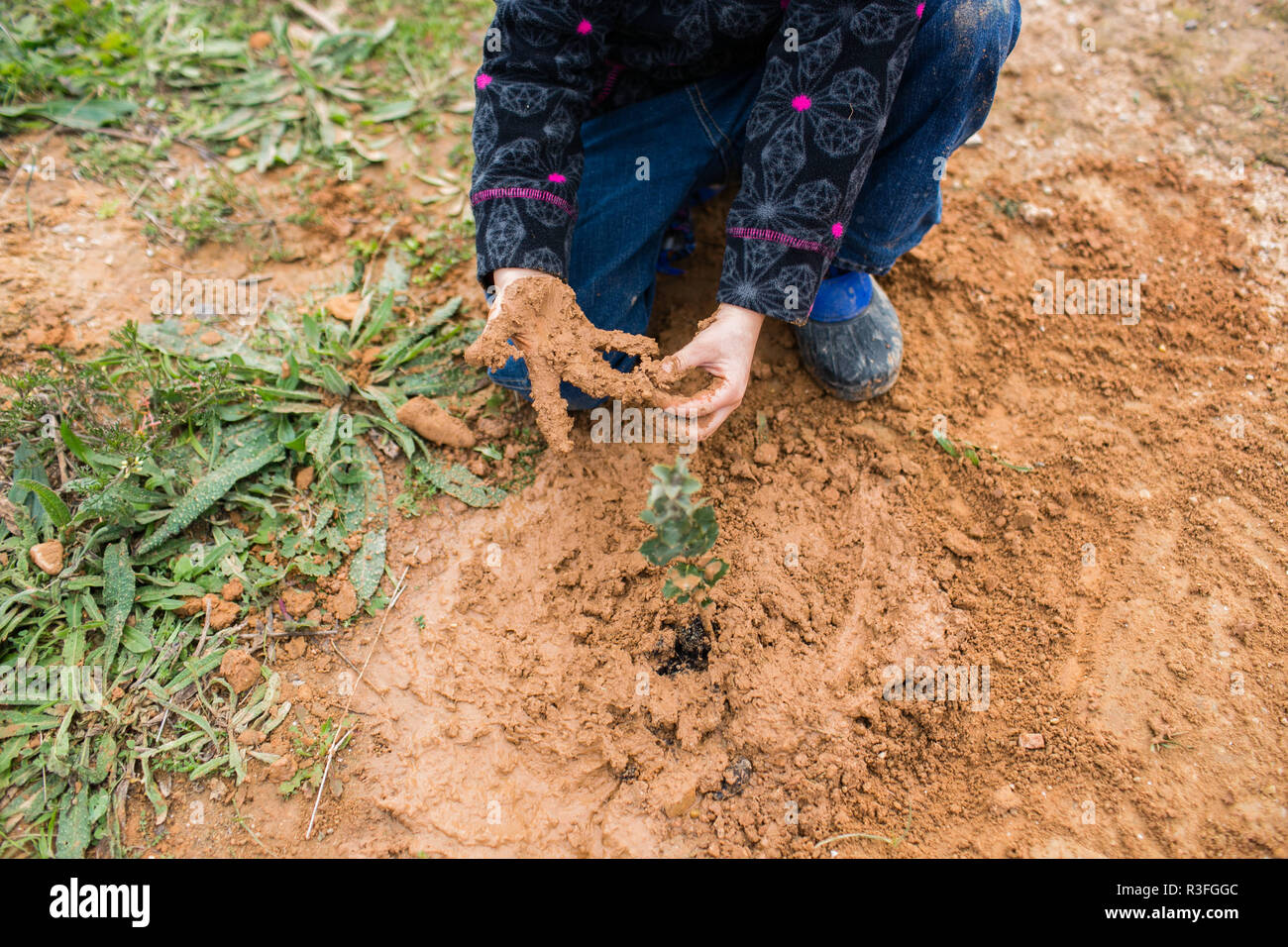 Child muddy hands garden hi-res stock photography and images - Alamy