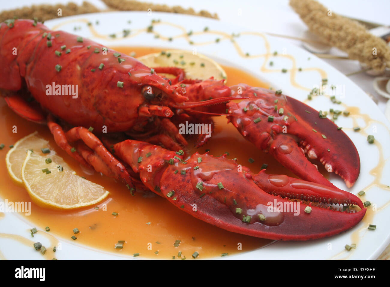 Lobster armour hi-res stock photography and images - Alamy