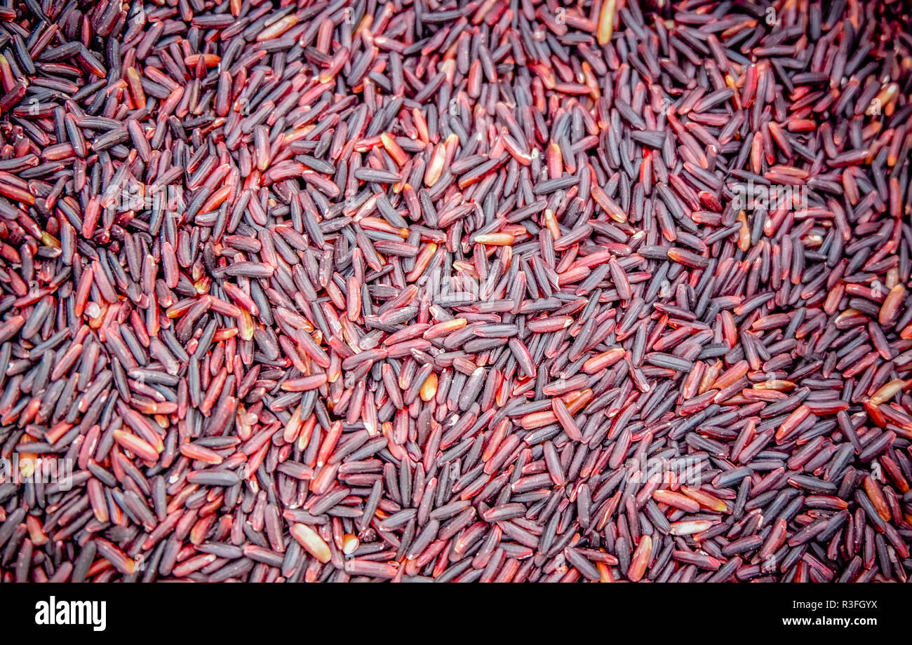 Rice background / Thai Rice riceberry Agricultural produce purple rice ...