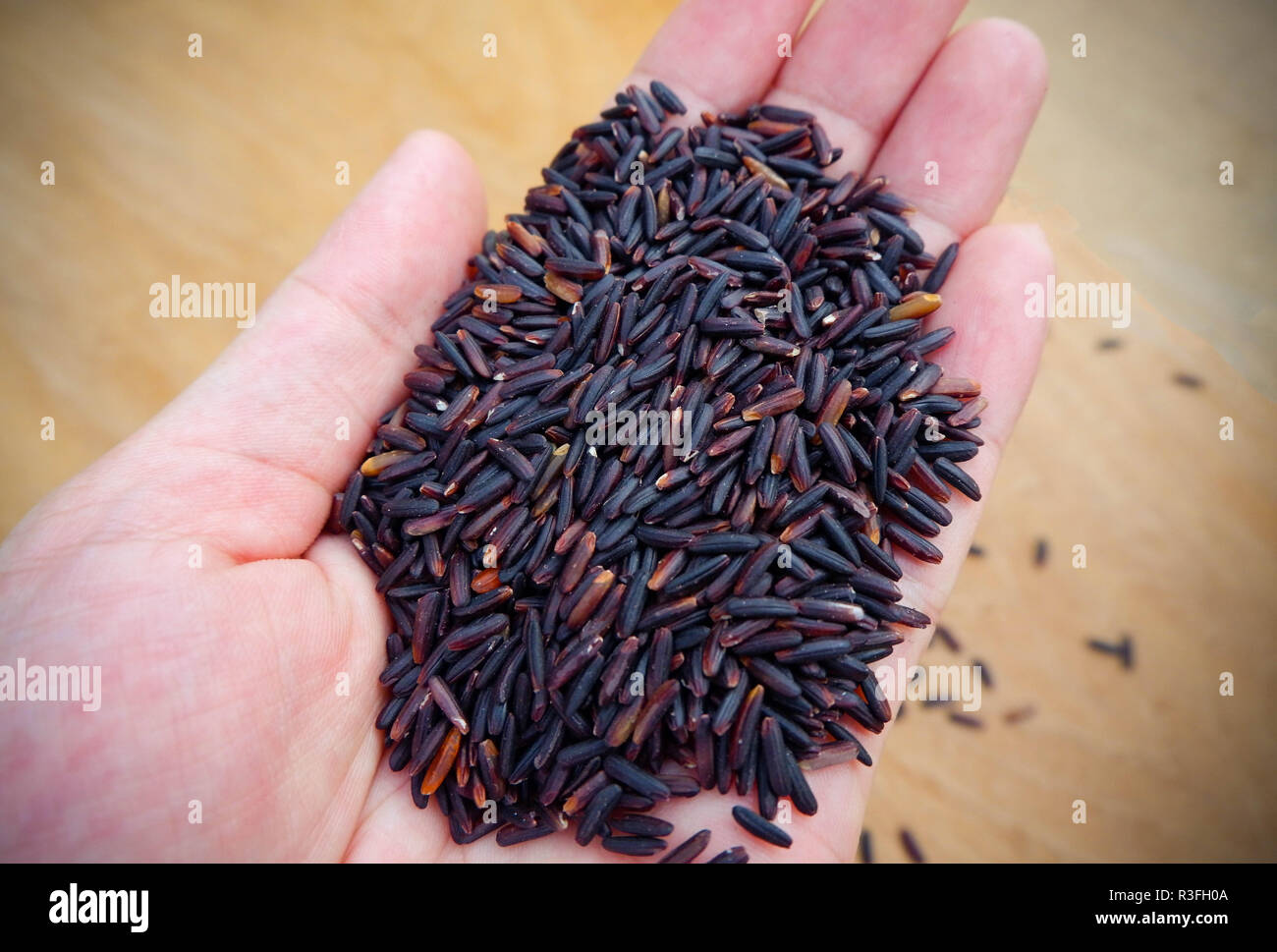 Thai Organic Riceberry in hand / pile of raw riceberries on hand wood ...
