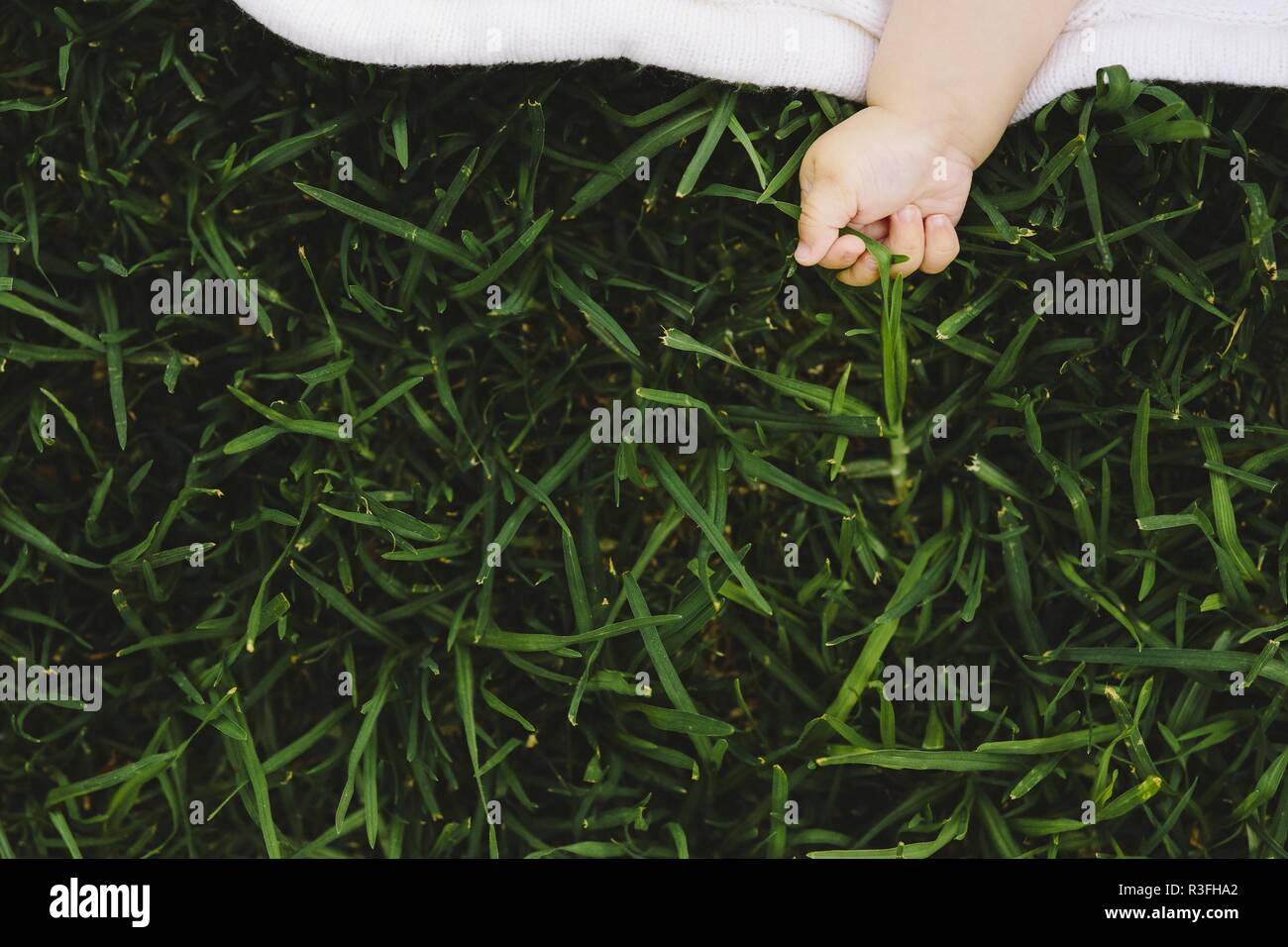 Hands doing things hi-res stock photography and images - Alamy