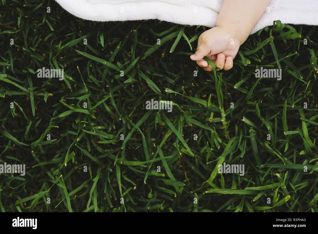 Hands of children doing things Stock Photo - Alamy