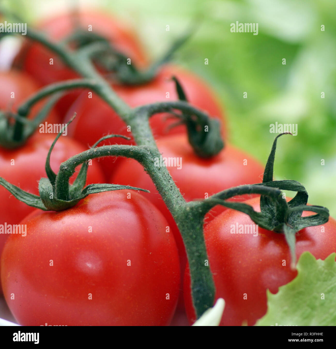 Rispentomaten hi-res stock photography and images - Alamy