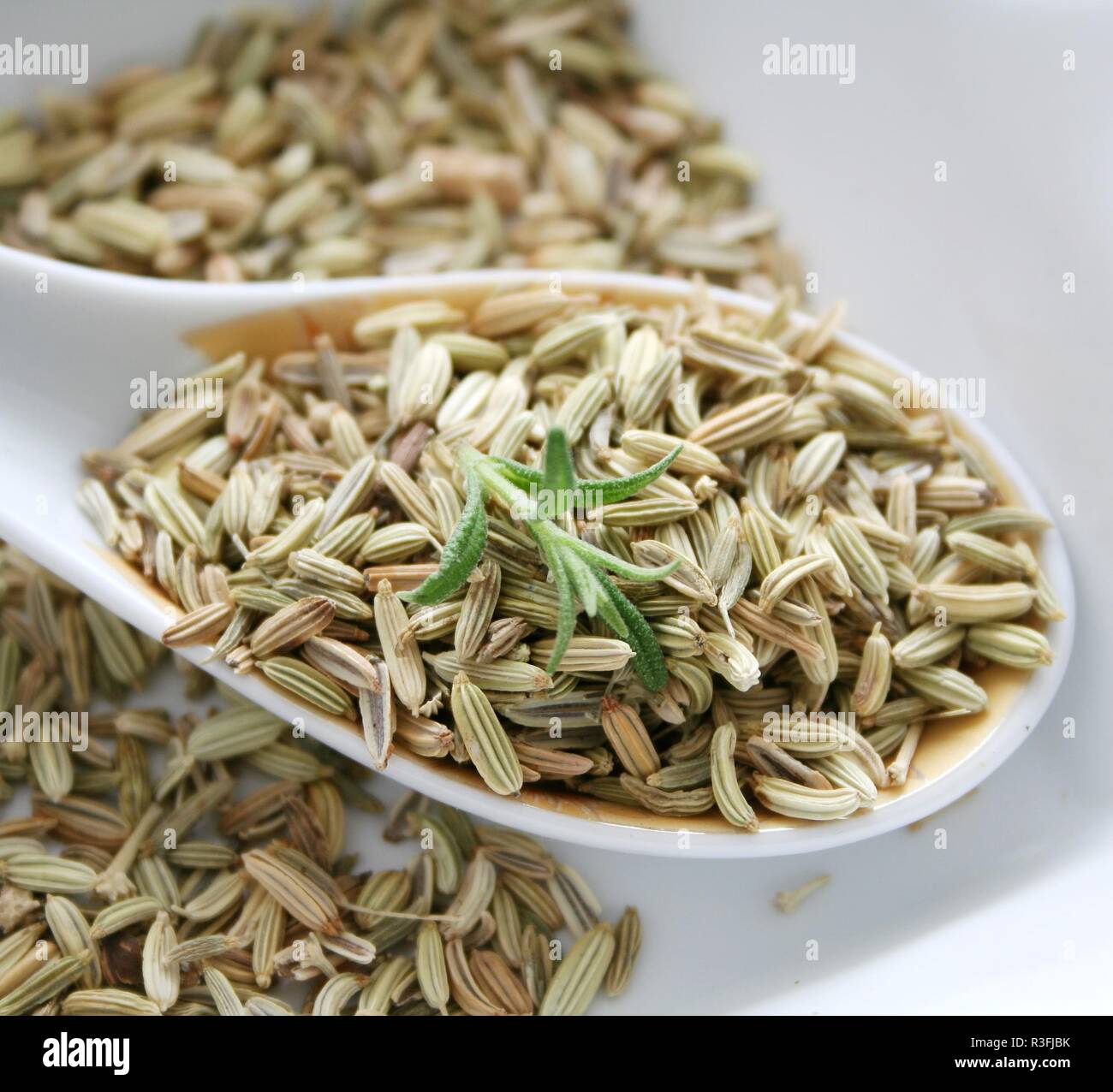 Fenchelsamen hi-res stock photography and images - Alamy