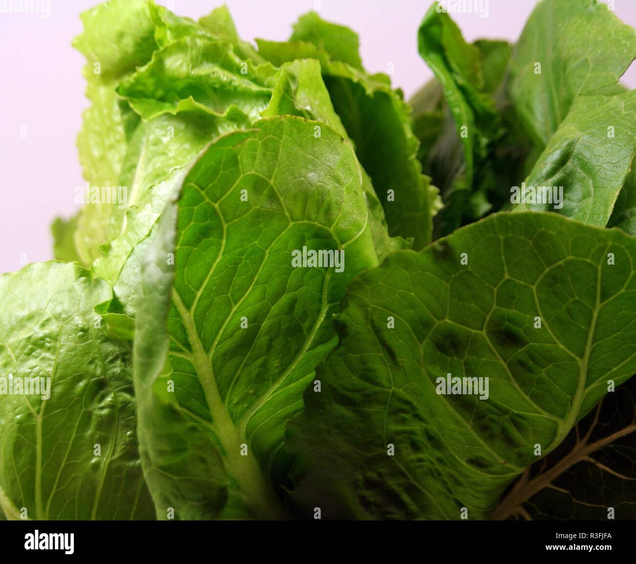 Ra ner see hi-res stock photography and images - Alamy