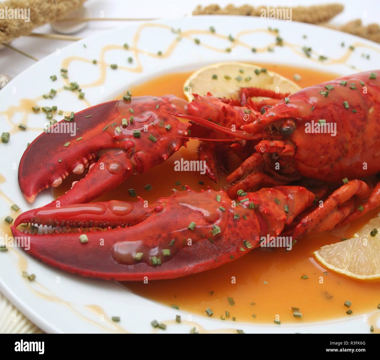 Lobster armour hi-res stock photography and images - Alamy