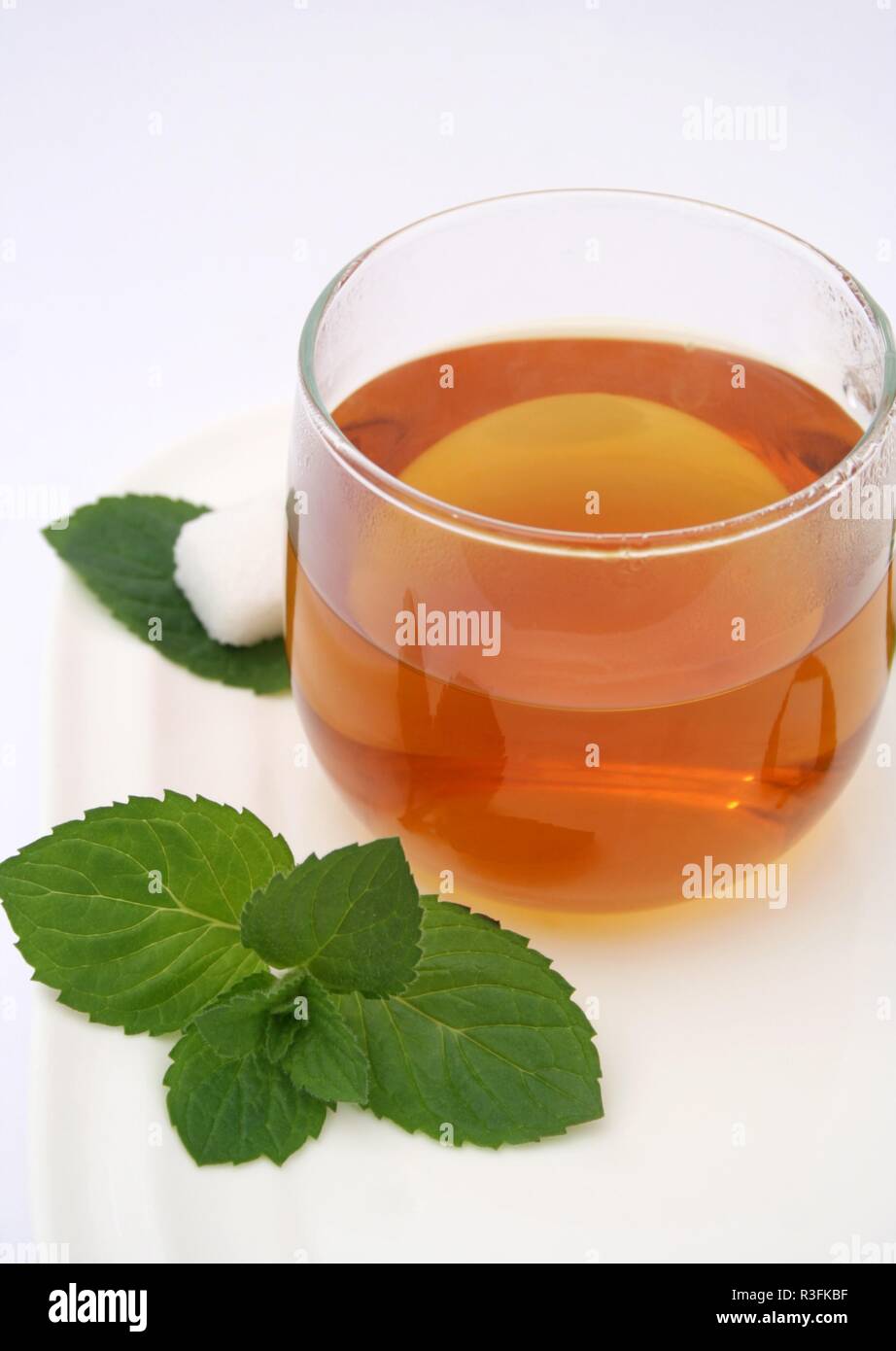 Pfefferminztee hi-res stock photography and images - Alamy