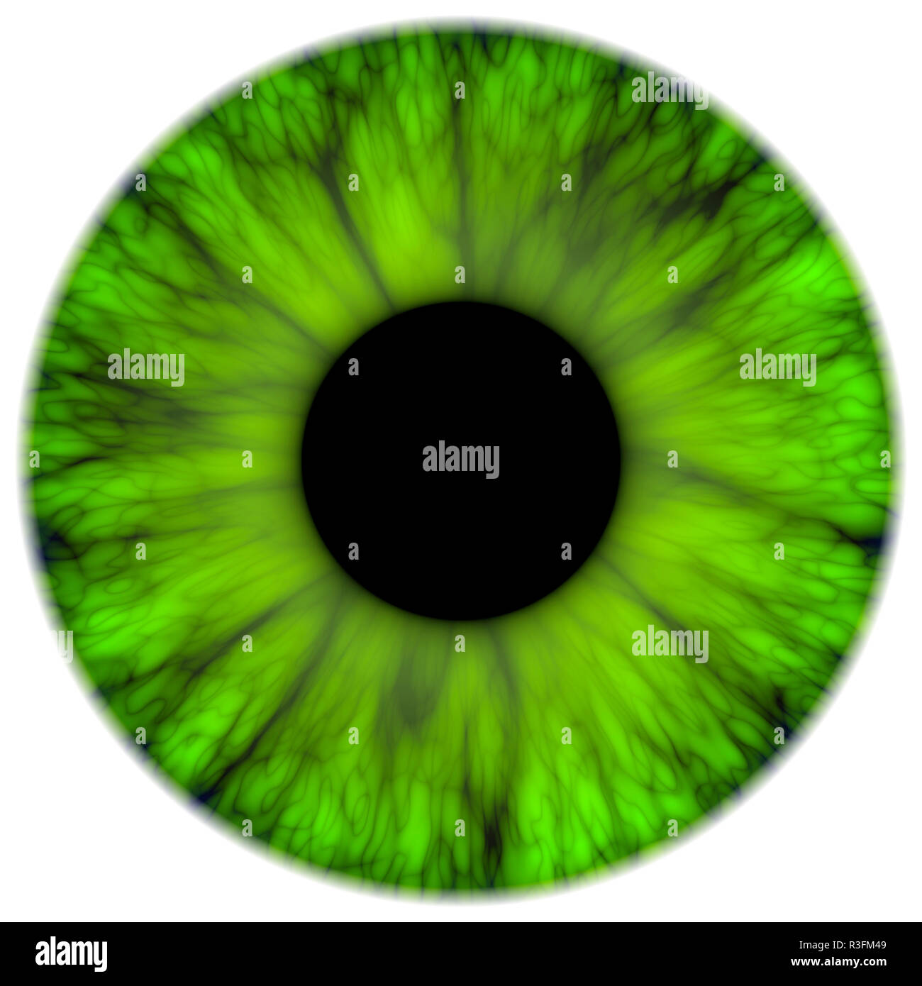 Deep black iris hi-res stock photography and images - Alamy