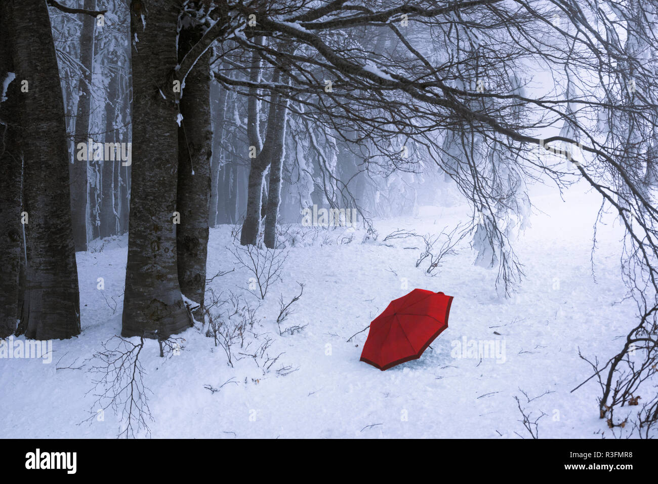 Mountain Vitsi Kastoria Greece Stock Photo - Alamy