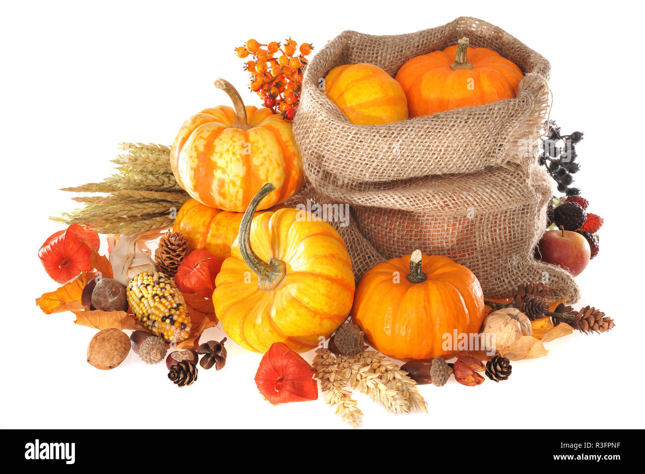 Apples autumn leaves thanksgiving Cut Out Stock Images & Pictures - Alamy