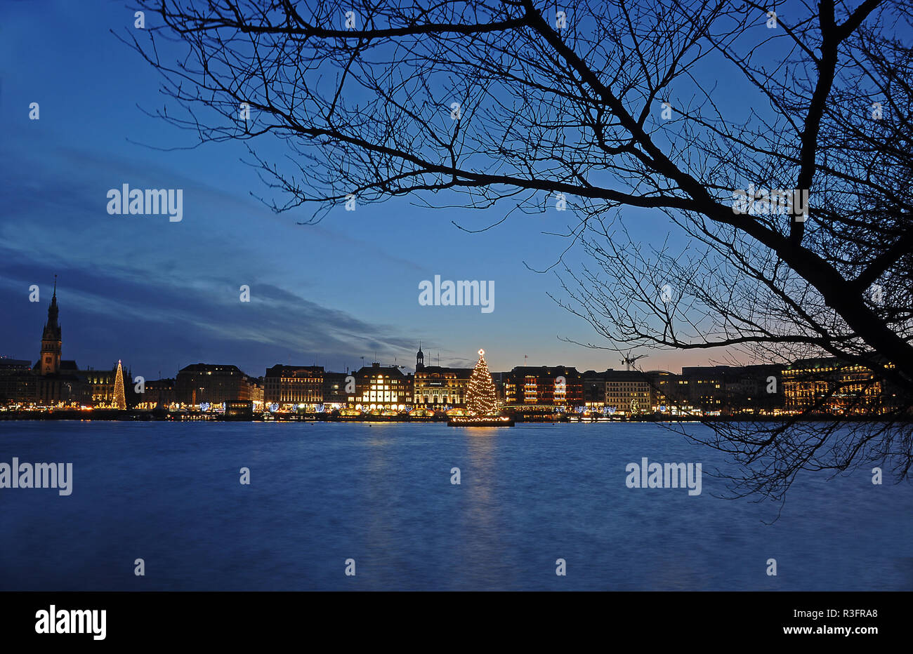 Alstertanne hi-res stock photography and images - Alamy