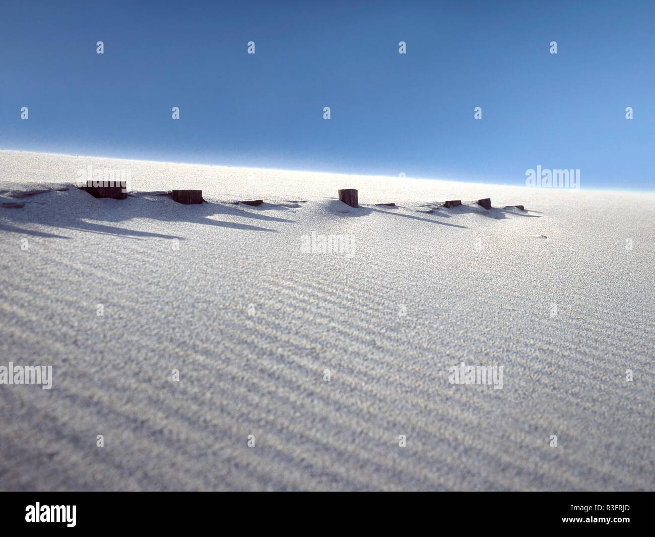 Windy dune with fences covered by sand brought by the visible strong ...