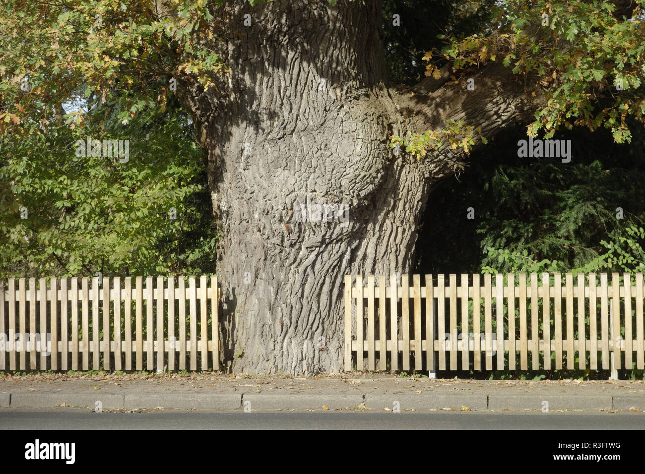 Bark fencing hi-res stock photography and images - Alamy