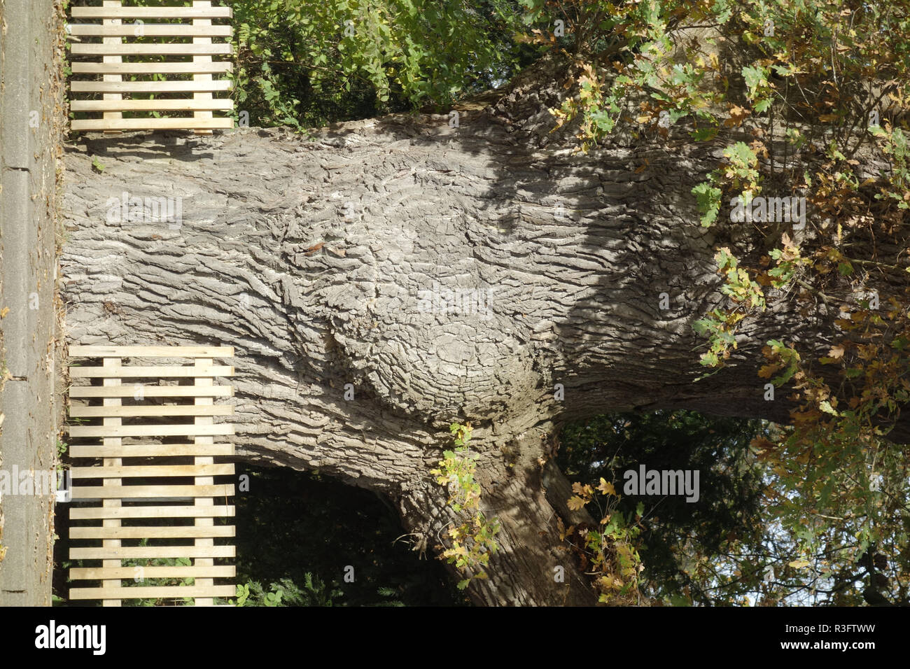 Scheessel hi-res stock photography and images - Alamy