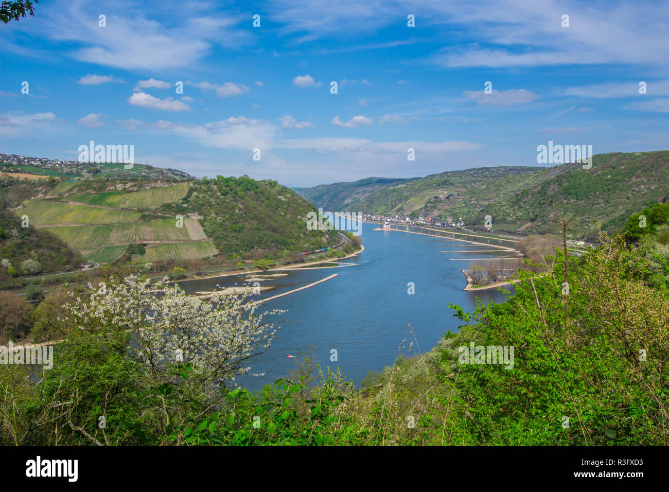 Rheinsteig hiker hi-res stock photography and images - Alamy