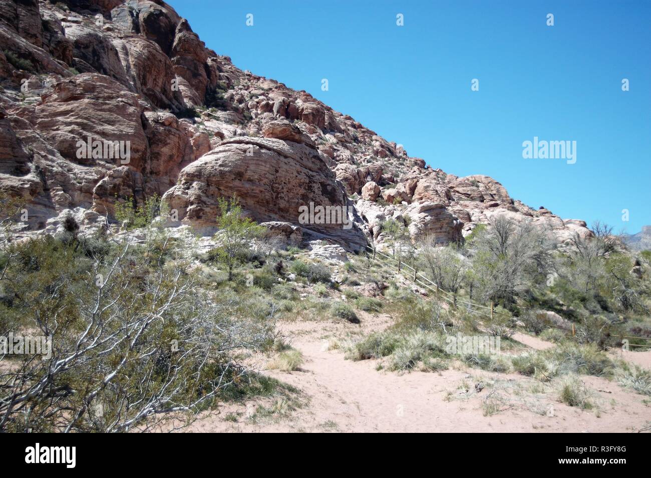 Red Rock Canyon, Nevada, USA Stock Photo - Alamy