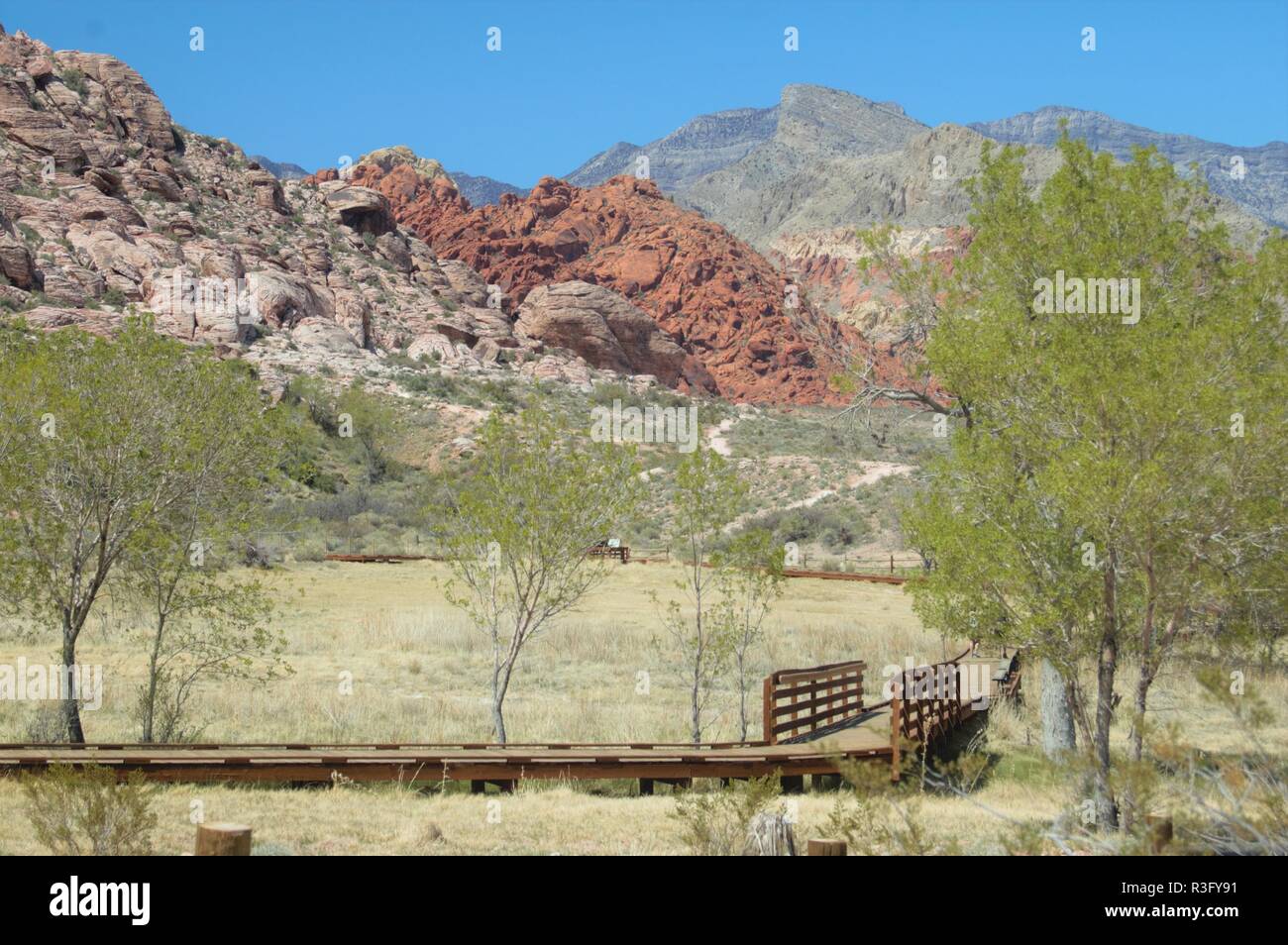 Red Rock Canyon, Nevada, USA Stock Photo - Alamy